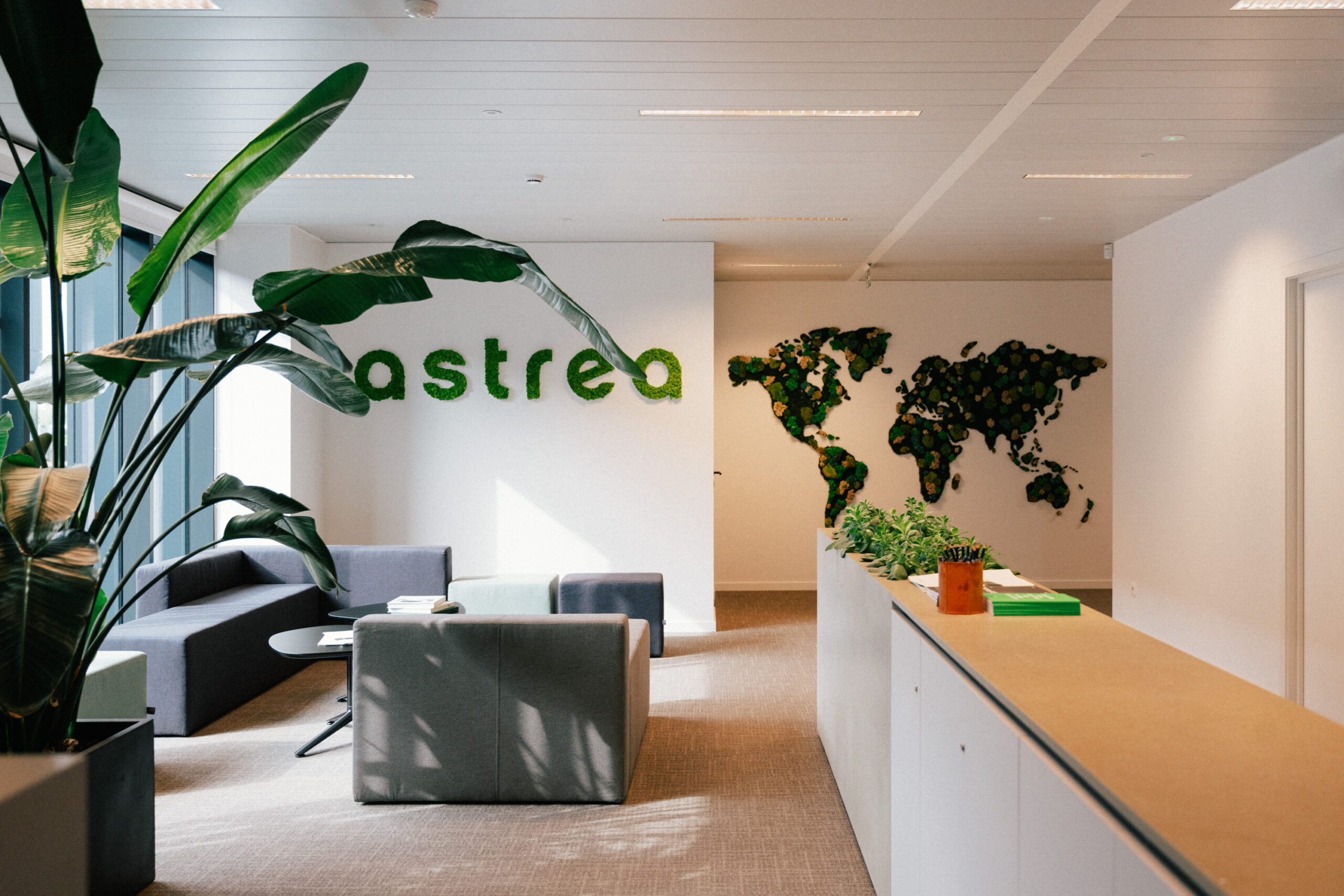 How Astrea brought its commercial story to market and gave structure to ...